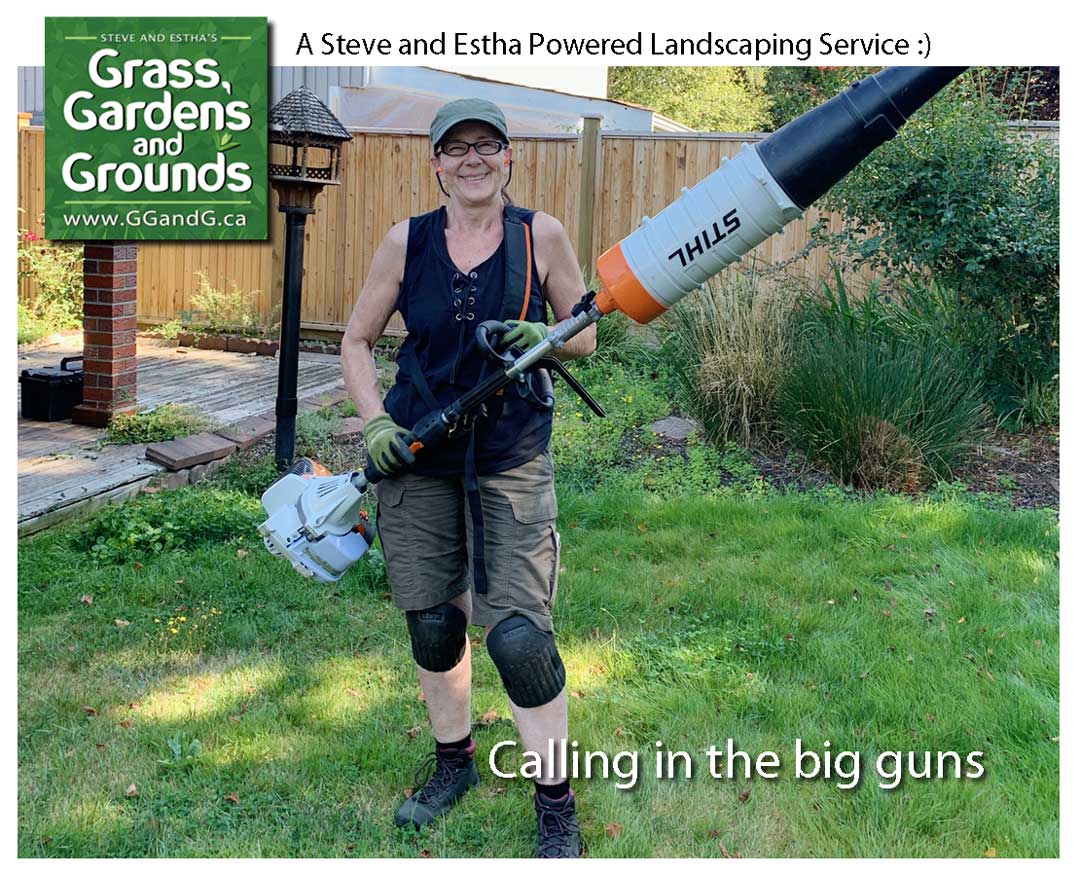 MEET THE OWNERS - Grass, Gardens and Grounds