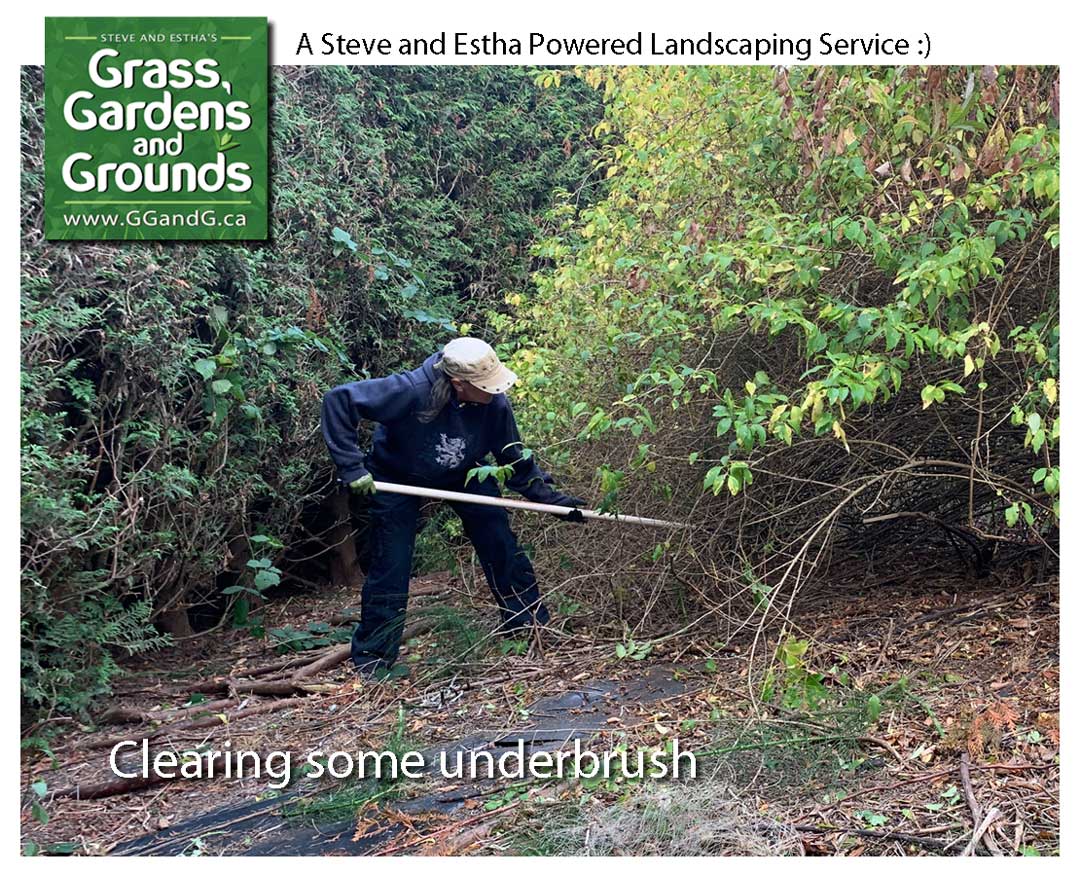 MEET THE OWNERS - Grass, Gardens and Grounds