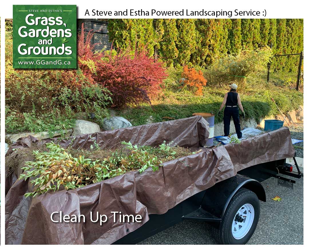 MEET THE OWNERS - Grass, Gardens and Grounds