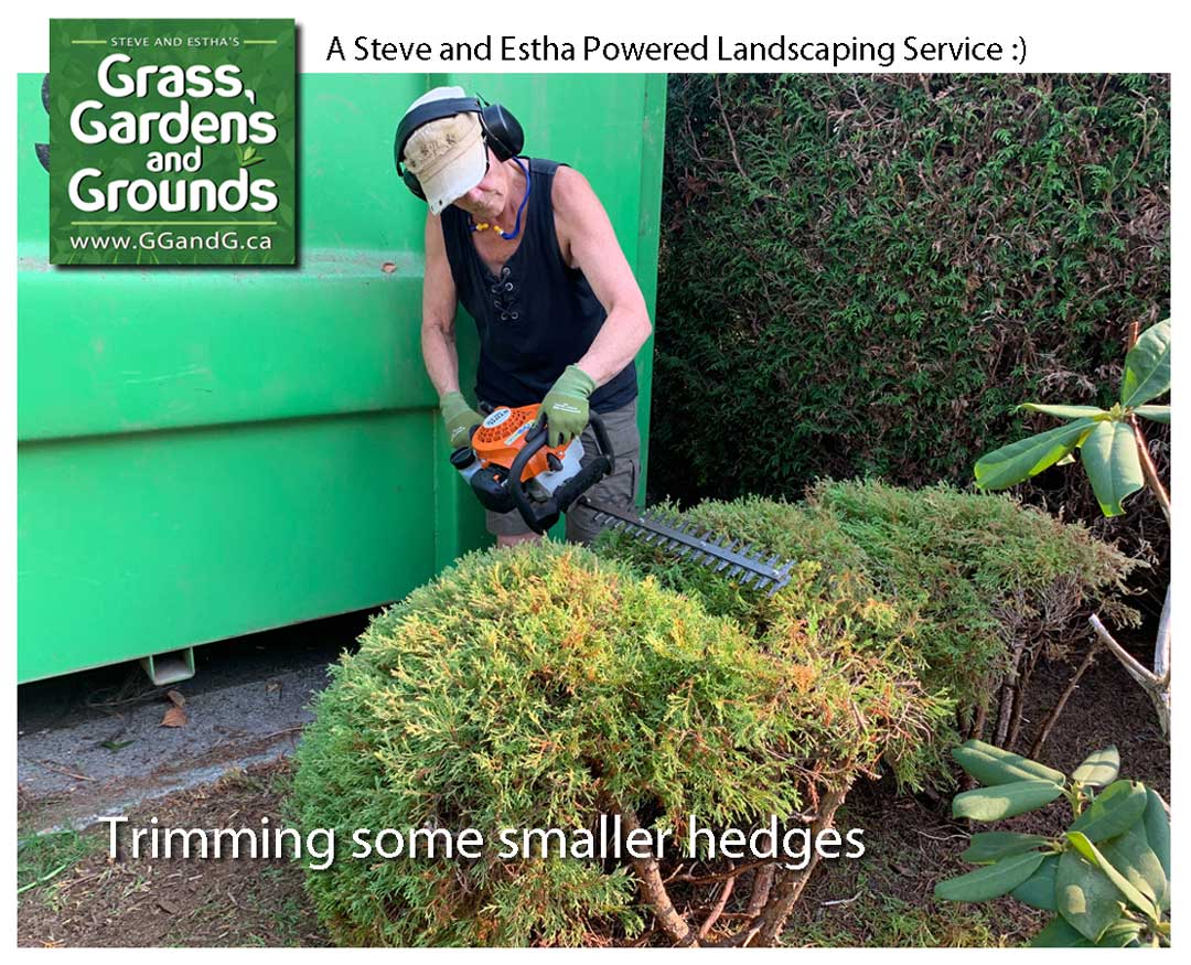 MEET THE OWNERS - Grass, Gardens and Grounds