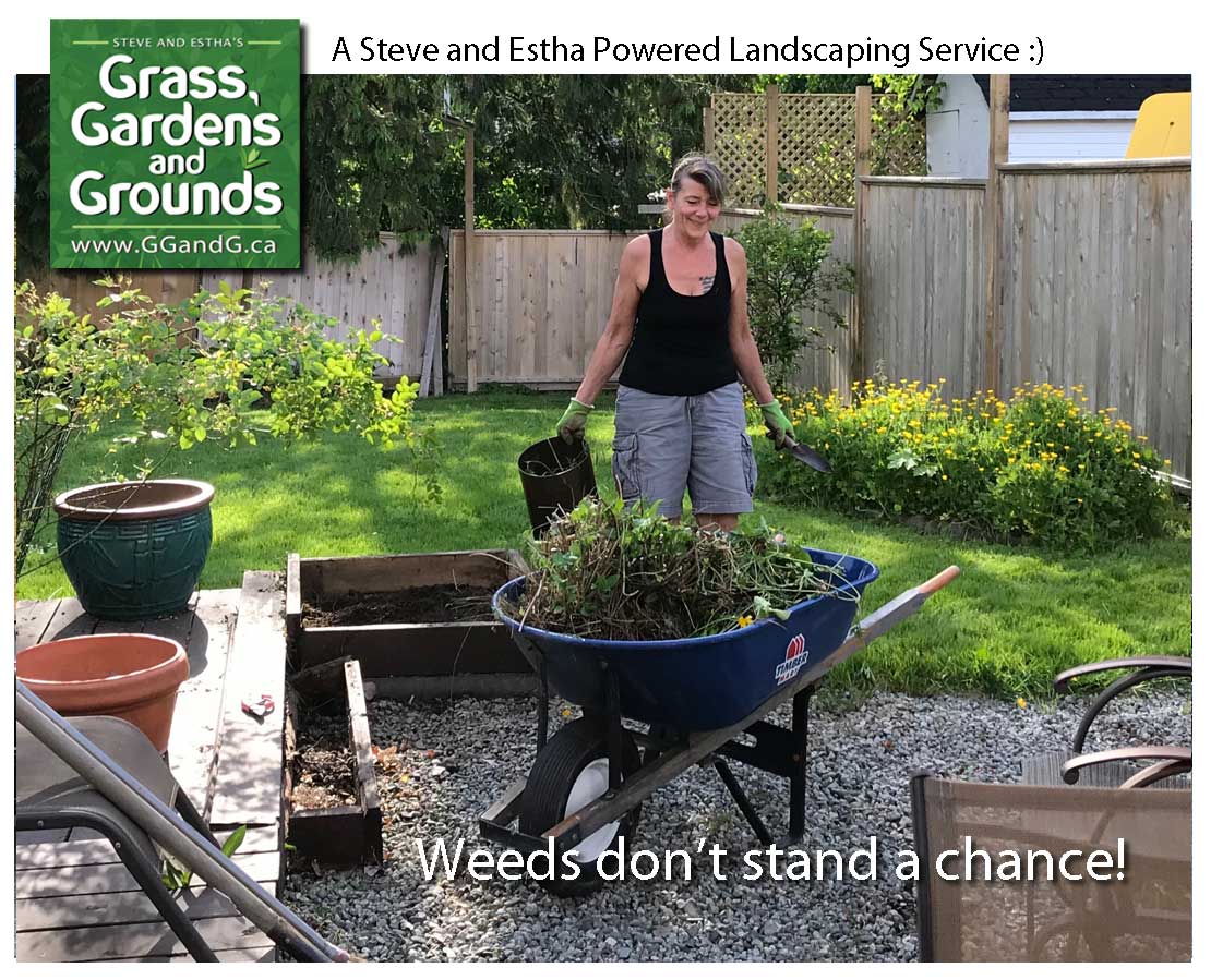 MEET THE OWNERS - Grass, Gardens and Grounds