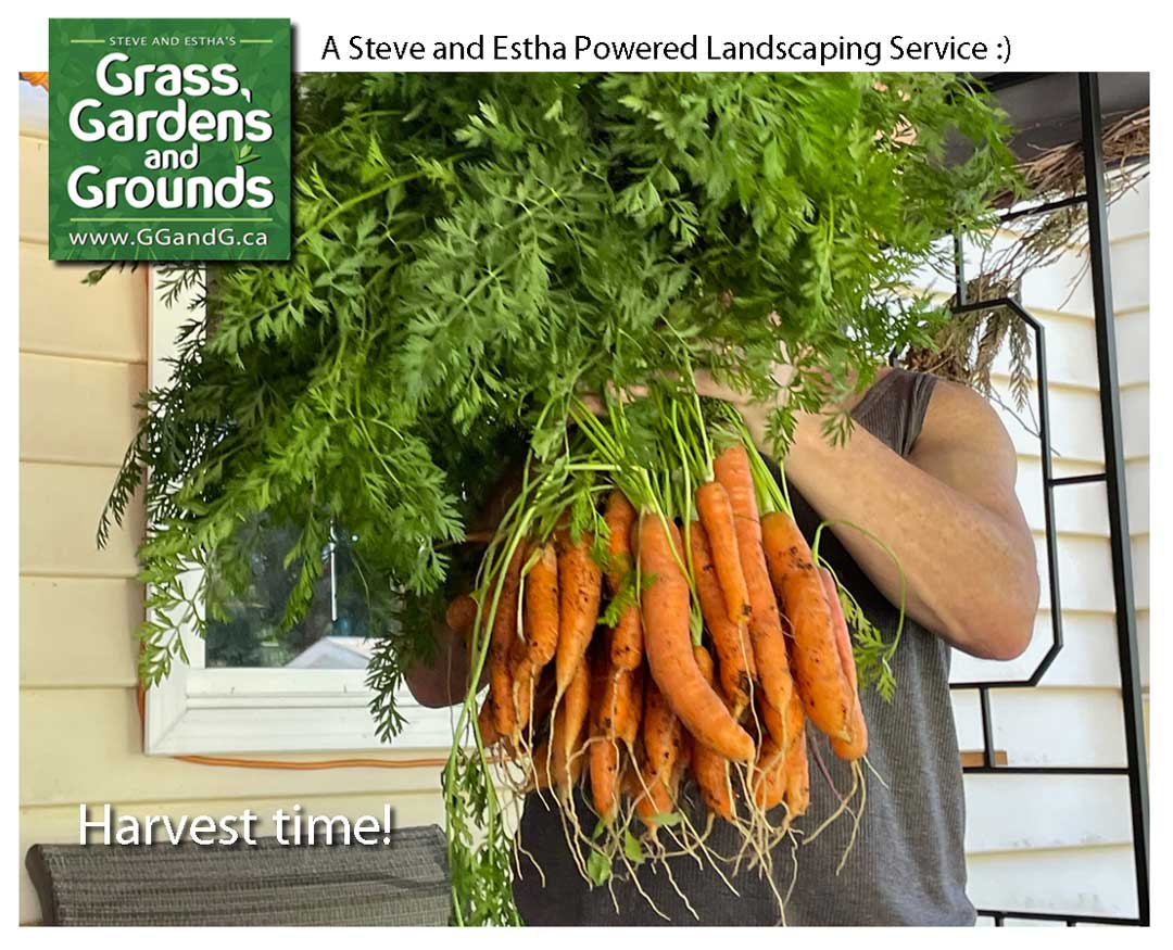 MEET THE OWNERS - Grass, Gardens and Grounds