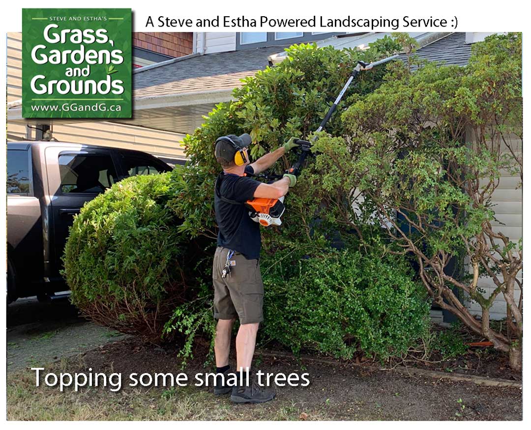 MEET THE OWNERS - Grass, Gardens and Grounds